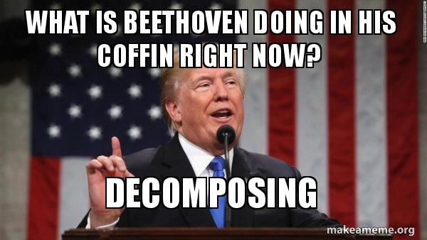 What is Beethoven doing in his coffin right now? Decomposing - Donald ...