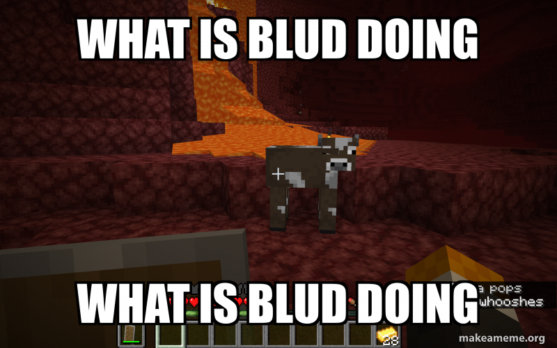 What is blud doing What is blud doing Meme Generator