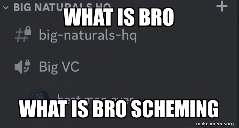 what is bro what is bro scheming Meme Generator
