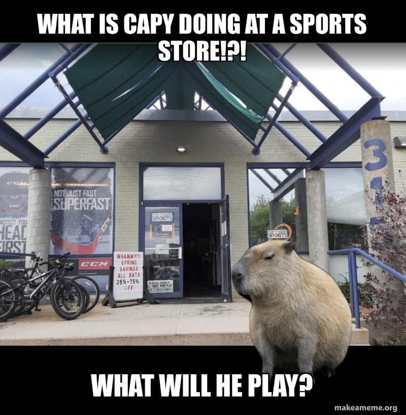 What is capy doing at a sports store!?! What will he play? Meme Generator
