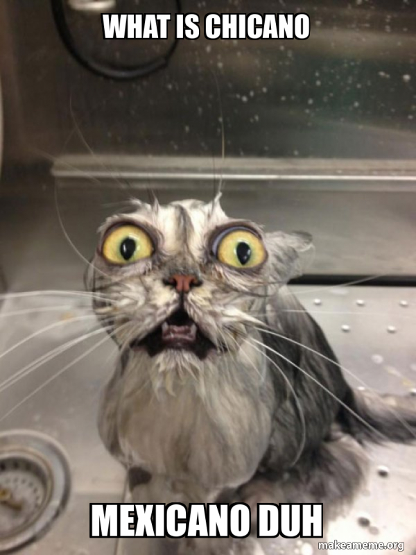 what is chicano Mexicano duh - Cat bath Meme Generator