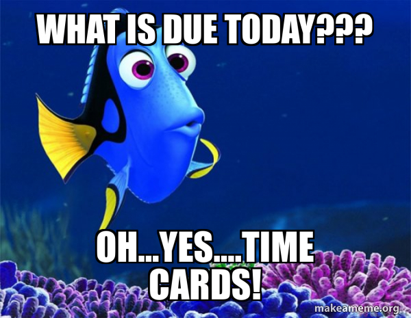 What is due today??? Oh...yes....time cards! - Dory from Nemo (5 second ...