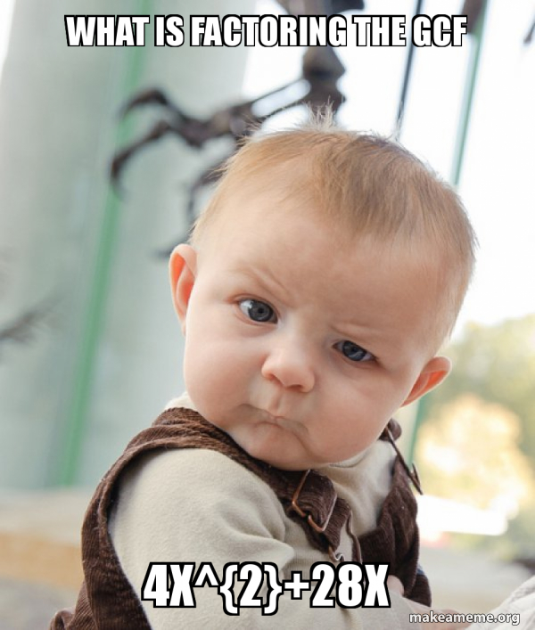 what is factoring the GCF 4x^{2}+28x - Skeptical Baby Meme Generator