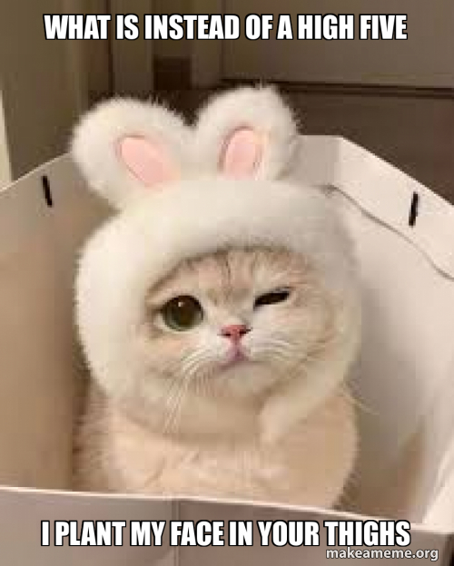 What is instead of a high five i plant my face in your thighs Meme ...