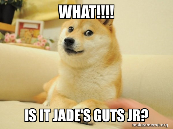 WHAT!!!! Is it Jade's Guts Jr? - Doge Meme Generator