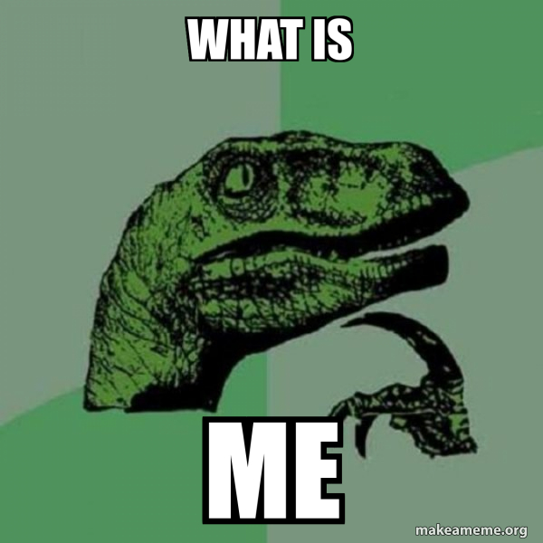 what is me - Philosoraptor Meme Generator