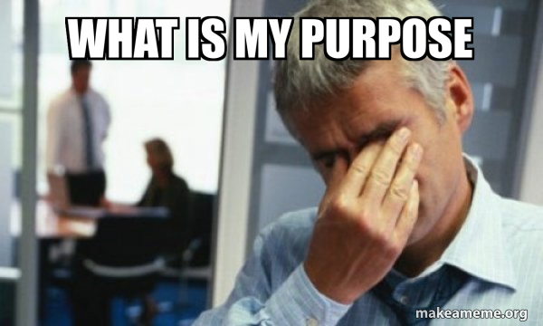 what is my purpose - Male First World Problems Meme Generator