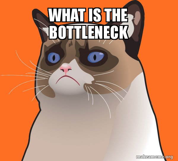 What is the bottleneck - Cartoon Grumpy Cat Meme Generator