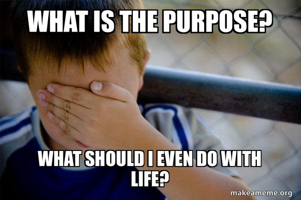 What is the purpose? What should I even do with life? - Confession Kid ...