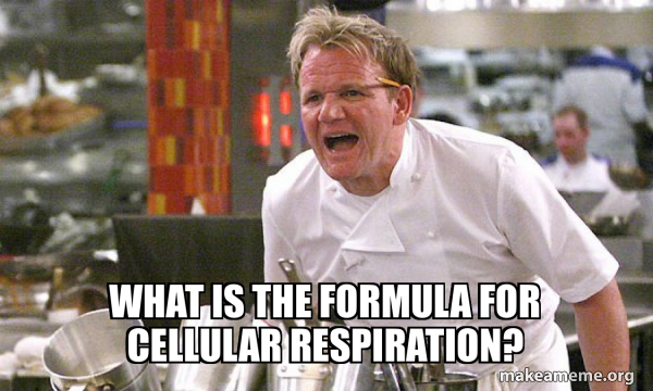 What is the formula for cellular respiration? - Gordon Ramsay Hell's ...