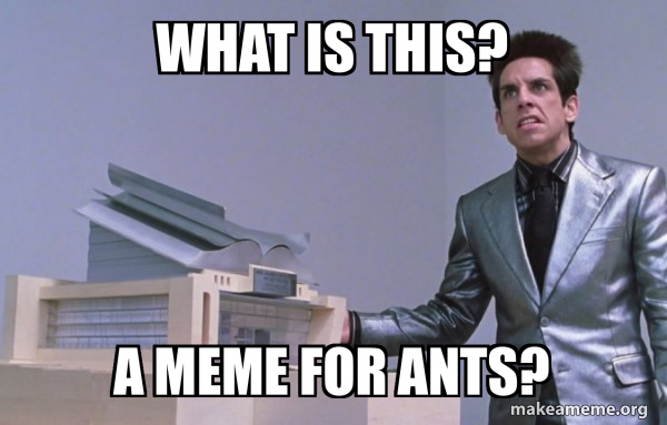 WHAT IS THIS? a MEME FOR ANTS? - Center for Ants (Zoolander) Meme Generator
