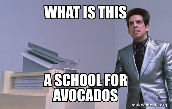 What is this A school for Avocados - Center for Ants (Zoolander) Meme ...