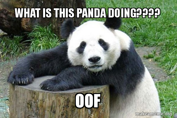 what is this panda doing???? oof - Confession Panda Meme Generator