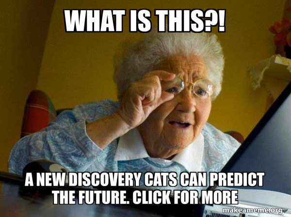 What is this?! A new discovery cats can predict the future. Click for ...