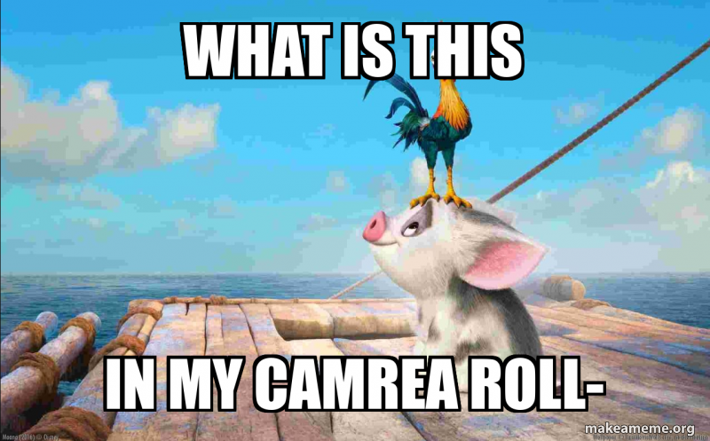 what is this in my camrea roll- - idk Meme Generator