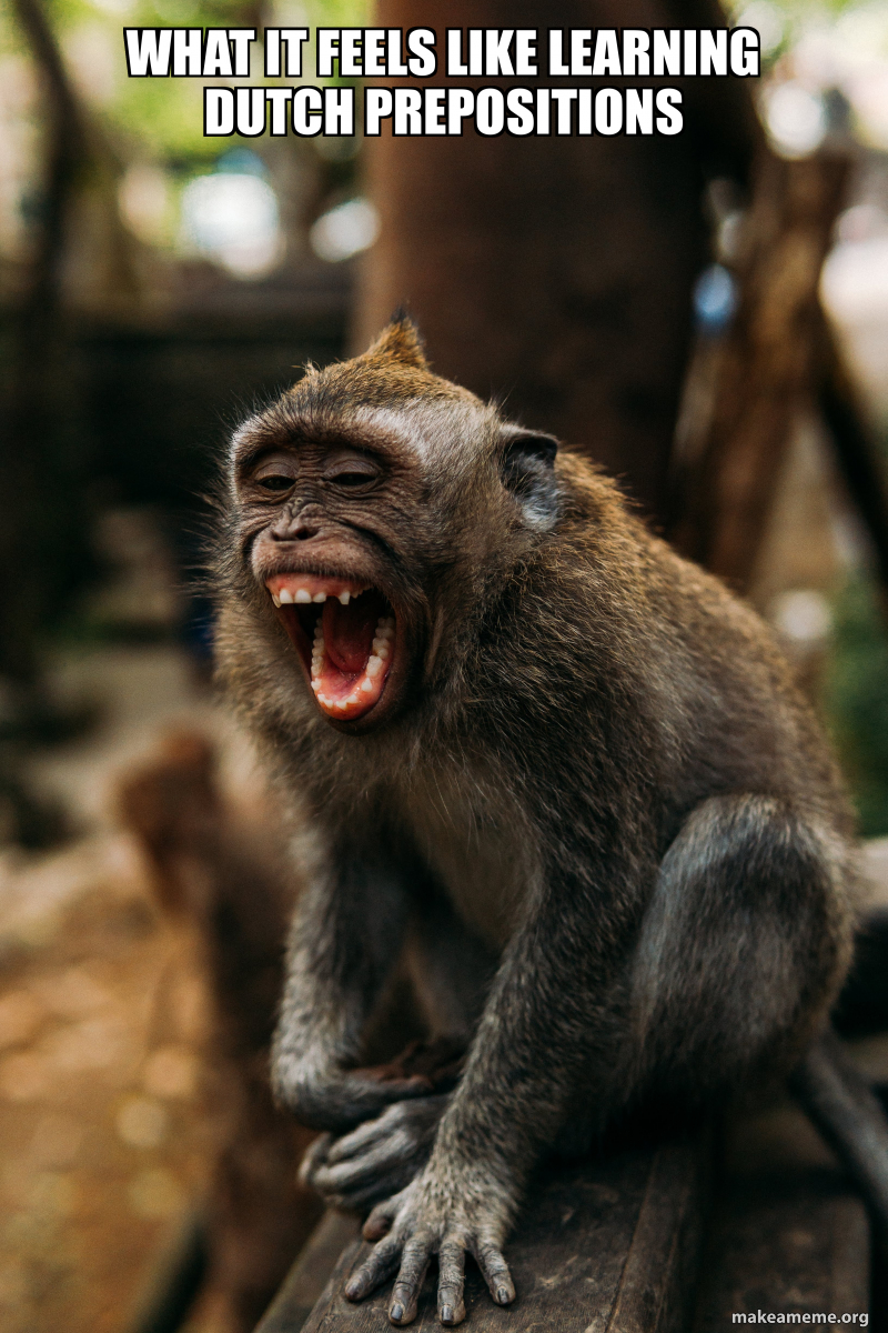 What it feels like learning dutch prepositions Meme Generator