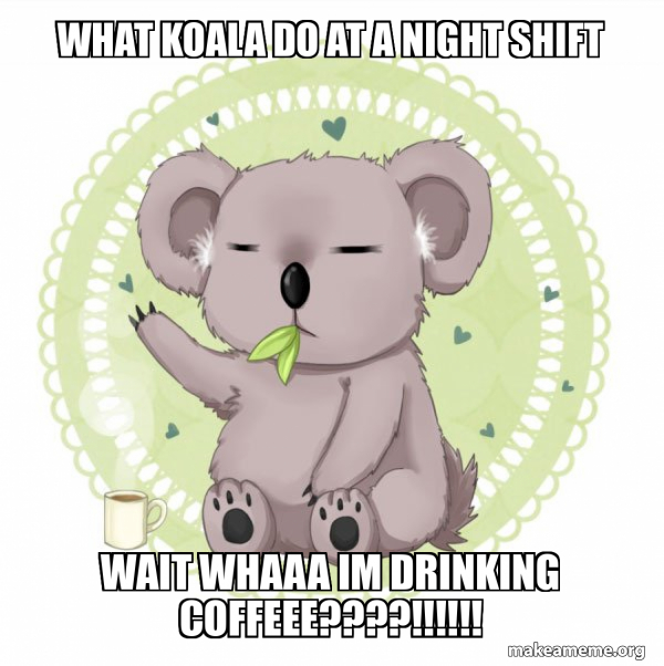 What koala do at a night shift Wait whaaa Im drinking COFFEEE????!!!!!! - Aussie Koala doing the ...