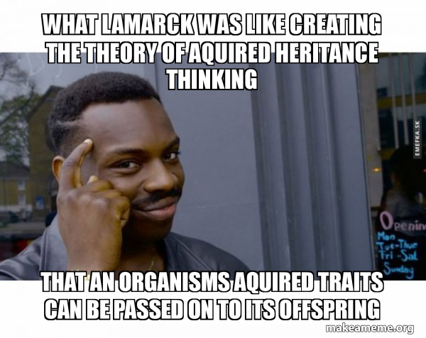 what Lamarck was like creating the theory of aquired heritance thinking ...