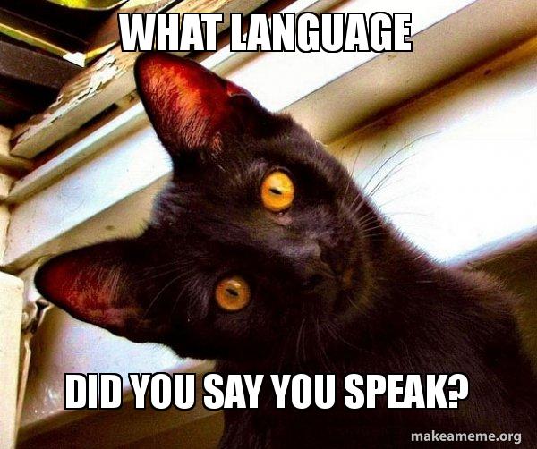 What Language Did you Say you Speak? - Overly Attached Cat Meme Generator