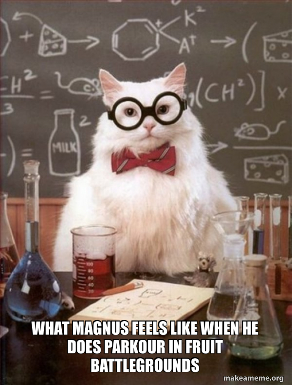 What Magnus feels like when he does parkour in fruit battlegrounds ...