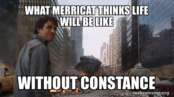 what Merricat thinks life will be like without Constance - That's My ...