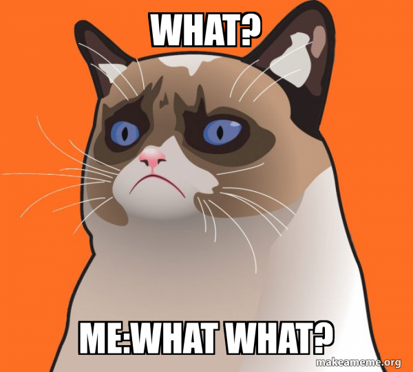 WHAT? me:WHAT WHAT? - Cartoon Grumpy Cat Meme Generator
