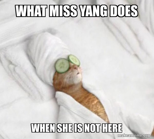 what Miss Yang does when she is not here - Pampered Cat Meme Meme Generator