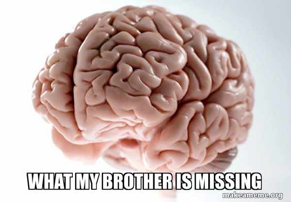 what my brother is missing - Scumbag Brain Meme Generator