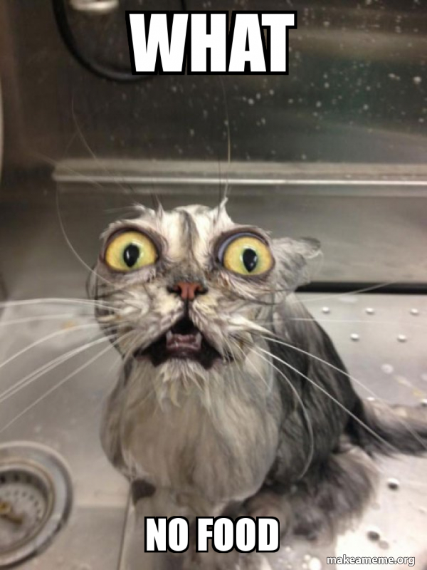 What No food - Cat bath Meme Generator