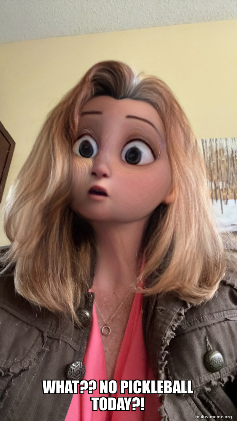 WHAT?? No pickleball today?! Meme Generator