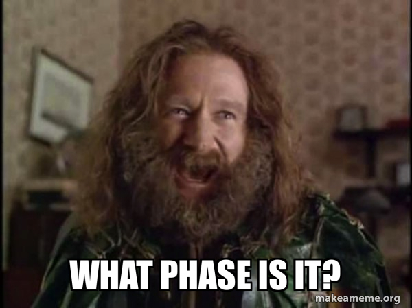 WHat phase is it? - Robin Williams - What year is it? Jumanji Meme ...