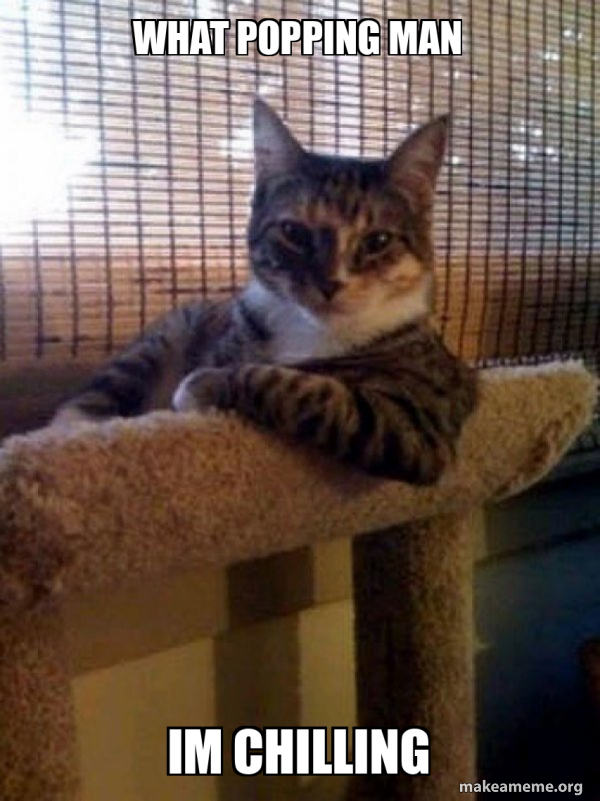what popping man im chilling - The Most Interesting Cat in the World ...