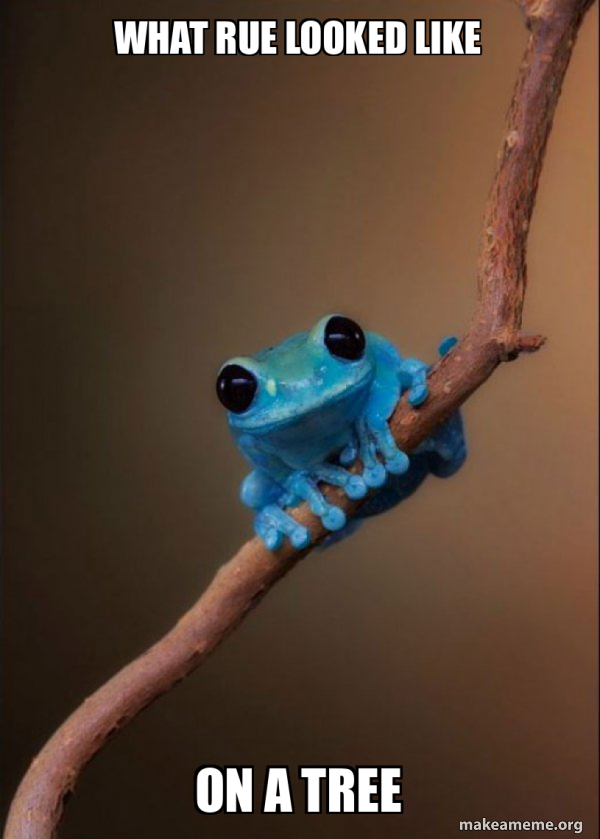What rue looked like on a tree - Small Fact Frog Meme Generator