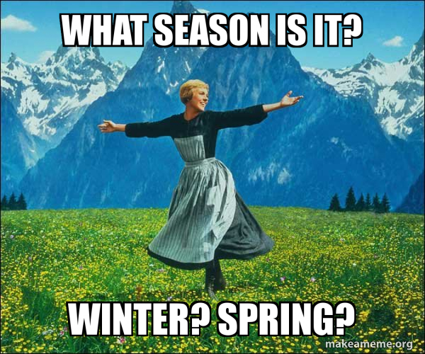 WHAT SEASON IS IT? WINTER? SPRING? - Sound of Music Meme Generator