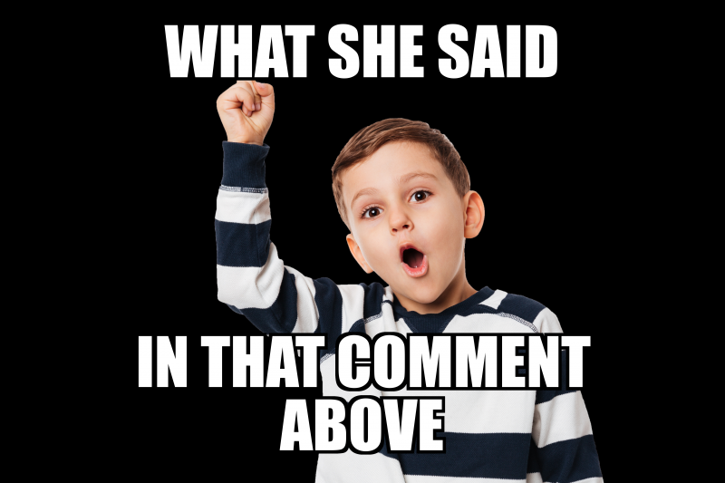 what she said IN THAT COMMENT ABOVE Meme Generator