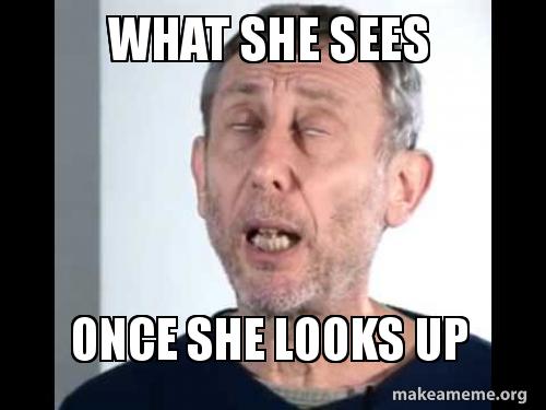 What she sees once she looks up - Michael Rosen Meme Generator