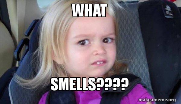 WHAT SMELLS???? - Side-Eyes Chloe | Make a Meme