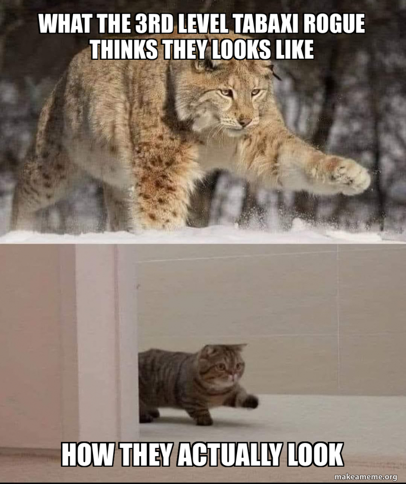 What the 3rd level tabaxi rogue thinks they looks like How they ...