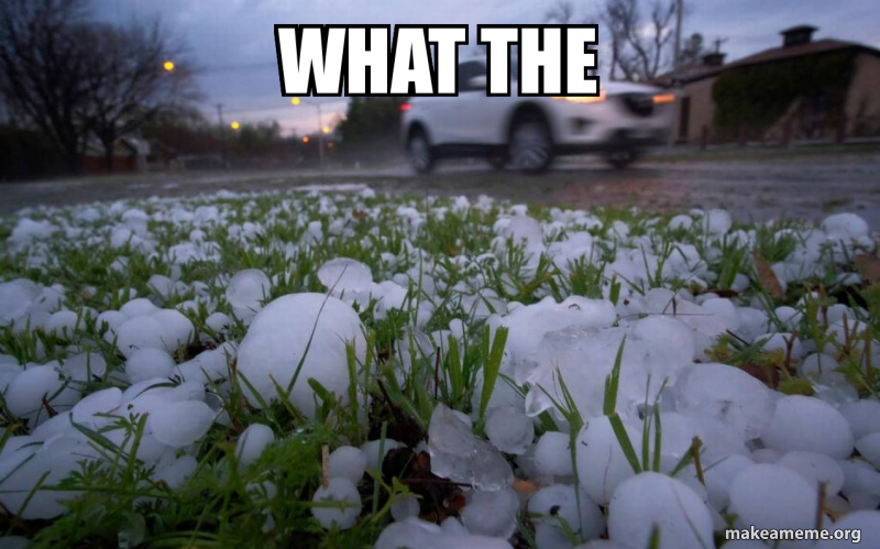 WHAT THE Meme Generator
