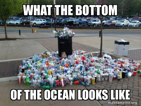 What the Bottom Of the ocean looks like - Canadian Football Fans meme ...
