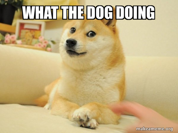 what the dog doing - Doge Meme Generator