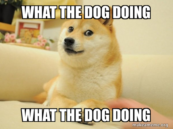WHAT THE DOG DOING WHAT THE DOG DOING - Doge Meme Generator