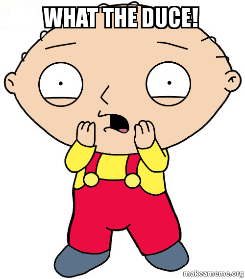 WHAT THE DUCE! - stewie Meme Generator