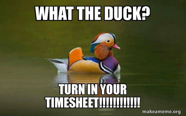 What the DUCK? Turn in your timesheet!!!!!!!!!!!! - Fashionable Advice ...