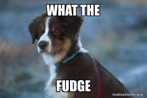 What the FUDGE - Unsure Dog Meme Generator