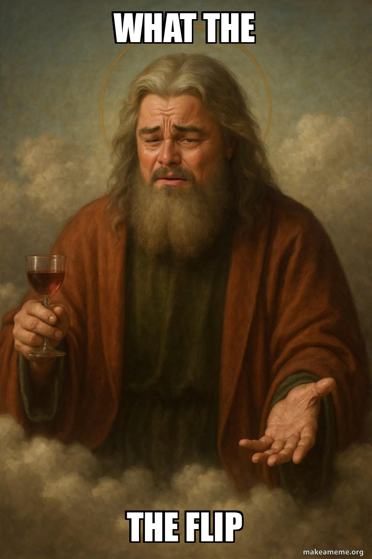 WHAT THE The flip - God’s Utter Disappointment Meme Generator