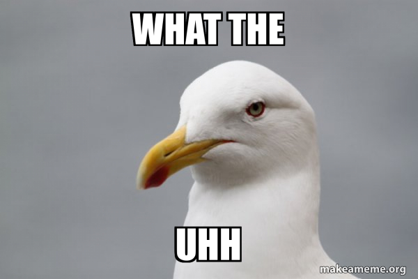 WHAT the UHH - Stuff That Didn't Happen Seagull Meme Generator