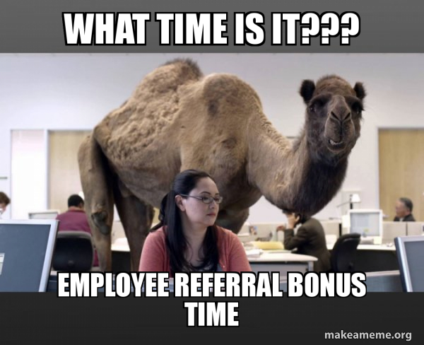 WHAT TIME IS IT??? EMPLOYEE REFERRAL BONUS TIME - Hump Day Camel Meme ...