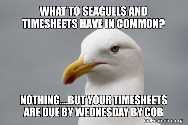 What to seagulls and timesheets have in common? nothing....but your ...