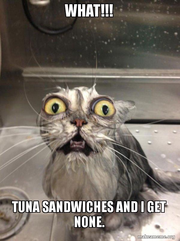 Funny Tuna Memes Tuna Joke | Food Hero
